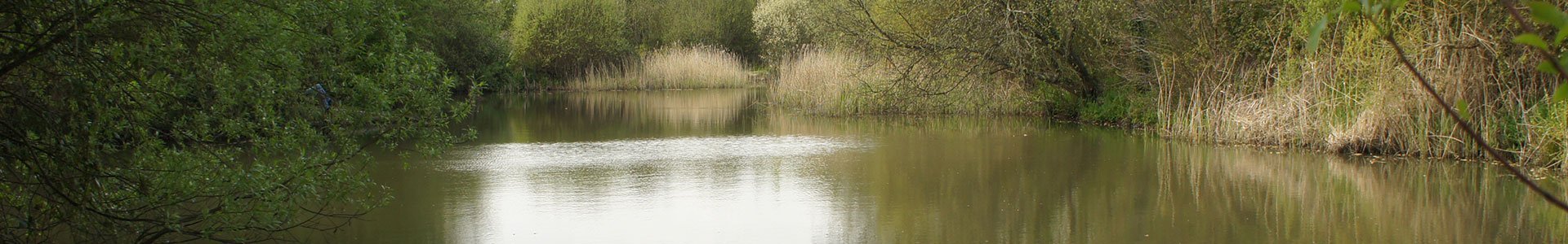 Everton Grange Lake - Fishing
